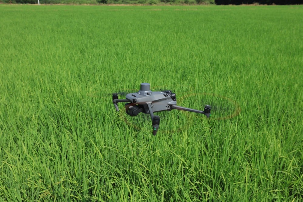 DJI Mavic 3 Multispectral - DRONEHRP - DJI Agricultural Drone Solutions ...